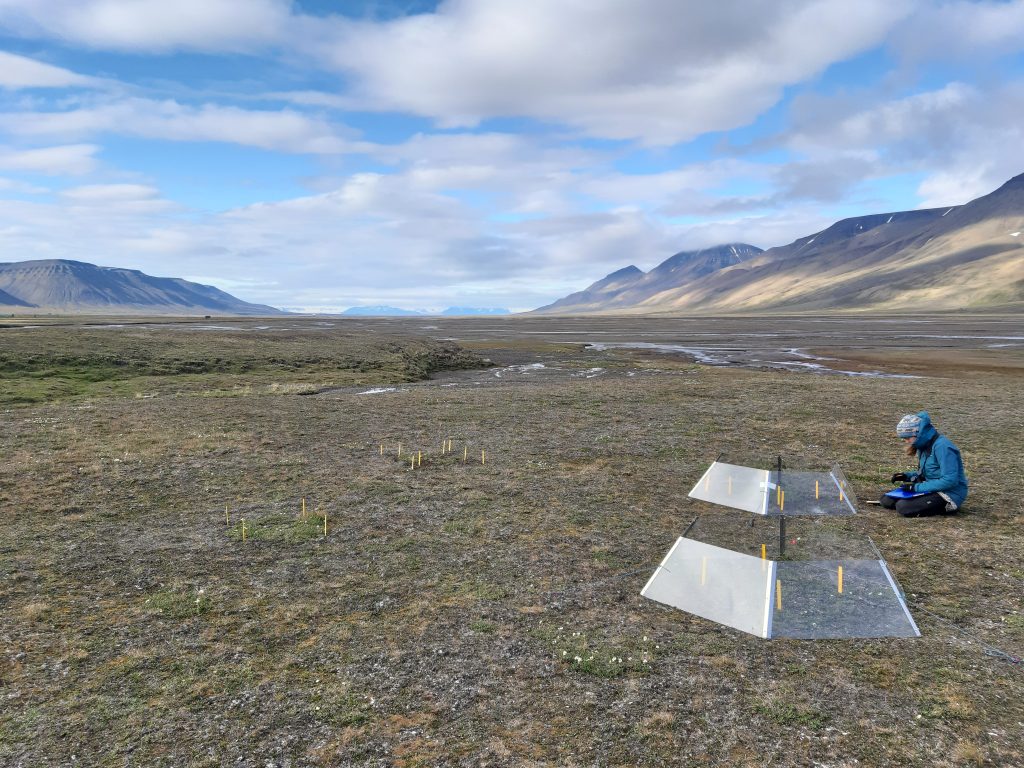 Thawing permafrost in the High Arctic: Understanding climate, herbivore ...